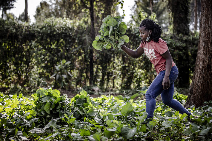 World Food Forum - Youth take charge of shaping future of food at ...