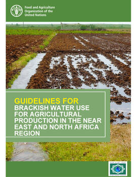 Publications | FAO Regional Office for Near East and North Africa ...