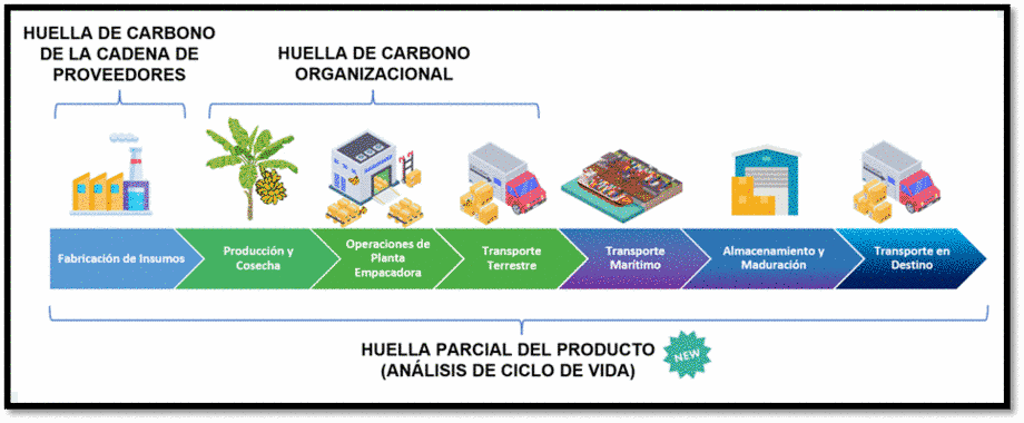 Herramienta de Huella de Carbono y Agua | Foro Mundial Bananero ...
