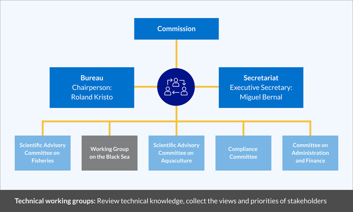 Structure | General Fisheries Commission for the Mediterranean - GFCM ...