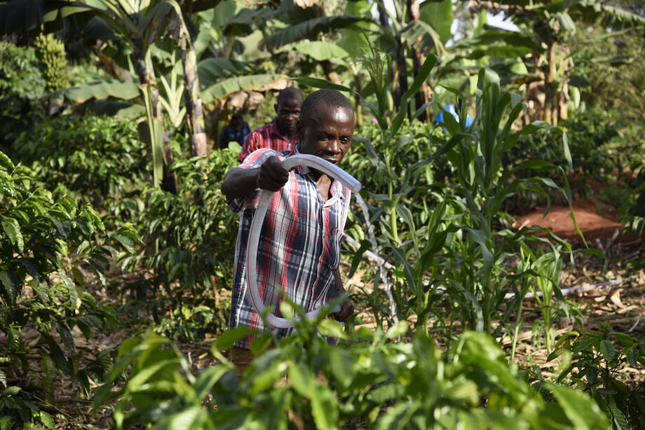 FAO and the Global Environment Facility | Food and Agriculture ...