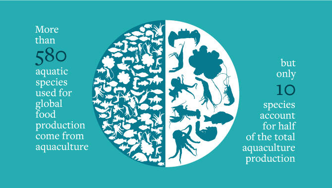 Biodiversity | Food and Agriculture Organization of the United Nations
