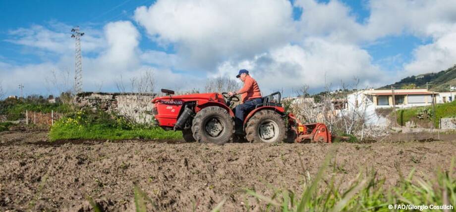 Home | Agroecology Knowledge Hub | Food and Agriculture Organization of ...