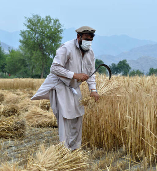 FAO Liaison Office in New York | Food and Agriculture Organization of ...