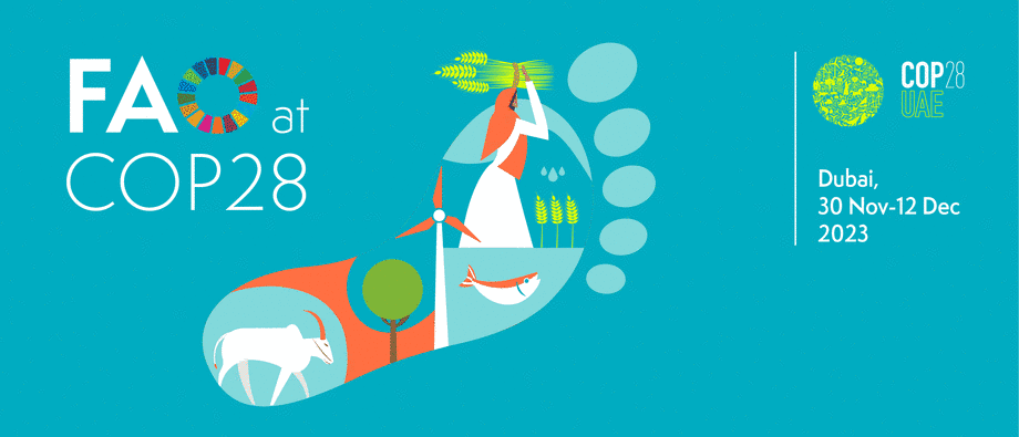 WASAG – The Global Framework on Water Scarcity in Agriculture | Food ...