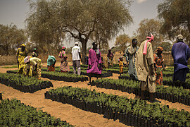 Overview | WASAG – The Global Framework on Water Scarcity in ...