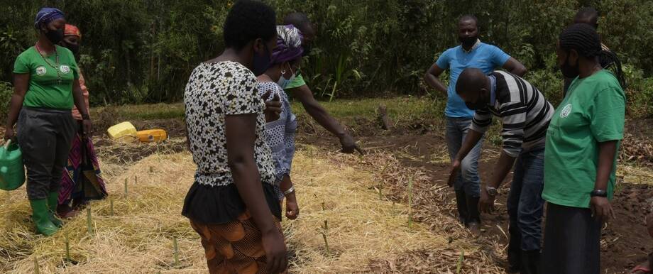 Rwanda | Building capacity related to Multilateral Environmental ...