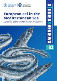 European eel Outcomes | General Fisheries Commission for the ...