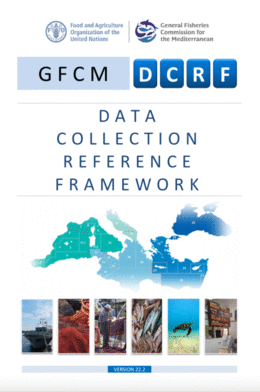 DCRF | General Fisheries Commission for the Mediterranean - GFCM | Food ...