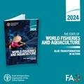 FAO in Namibia | Food and Agriculture Organization of the United Nations