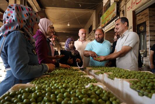 FAO in Syria | Food and Agriculture Organization of the United Nations