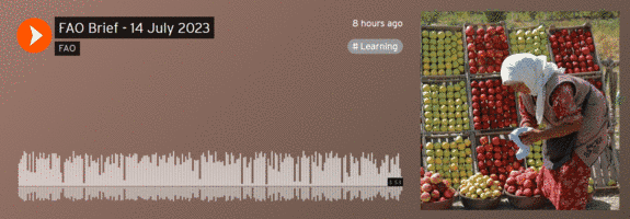 FAO in North America | Food and Agriculture Organization of the United ...