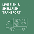 Transport | Food Loss and Waste in Fish Value Chains | Food and ...