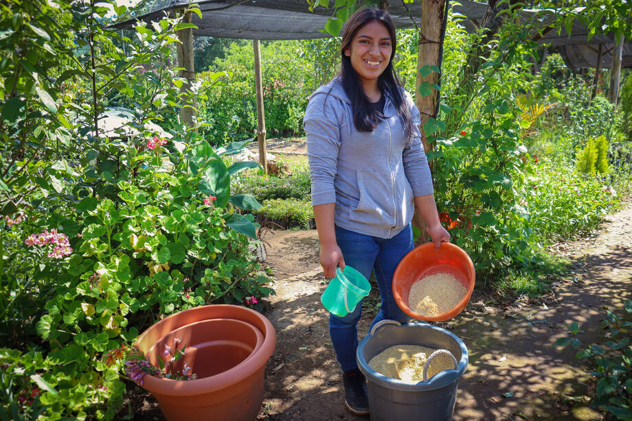 Decent Rural Employment | Food and Agriculture Organization of the ...