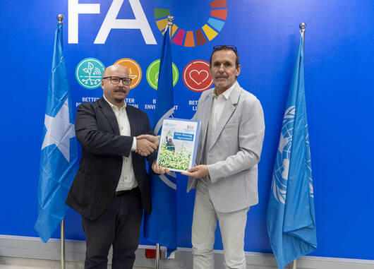 FAO in Somalia | Food and Agriculture Organization of the United Nations