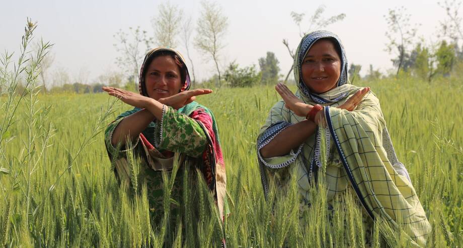 CPF 2023-2027 | FAO in Pakistan | Organisation des Nations Unies pour l ...