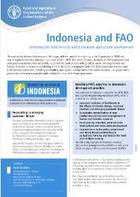 FAO in Indonesia | Food and Agriculture Organization of the United Nations