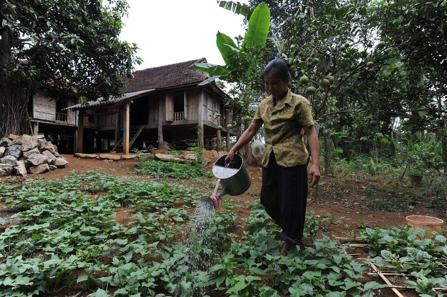 WASAG – The Global Framework on Water Scarcity in Agriculture | Food ...