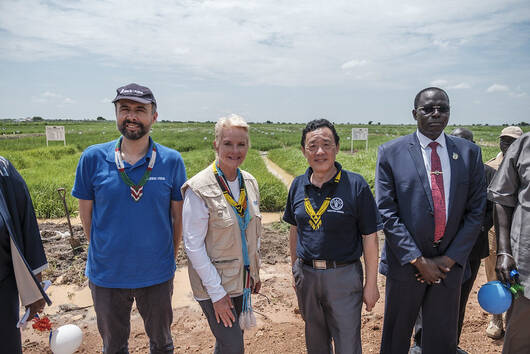 FAO Regional Office for Africa | FAO Regional Office for Africa | Food ...