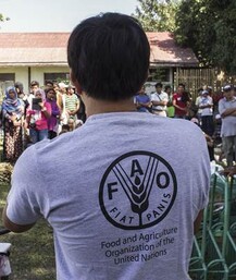 FAO Liaison Office in Brussels | Food and Agriculture Organization of ...
