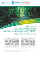 Publications | REDD+ Reducing Emissions from Deforestation and Forest ...