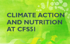 Nutrition | Food and Agriculture Organization of the United Nations