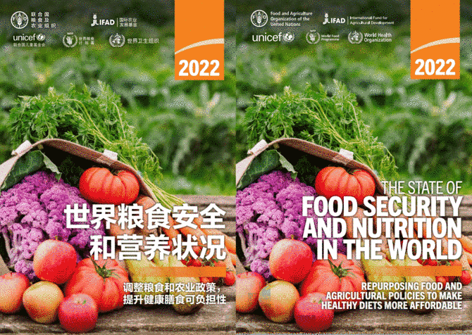 FAO in China | Food and Agriculture Organization of the United Nations
