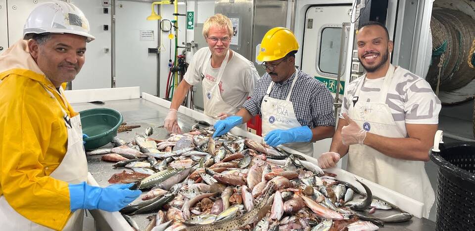 EAF-Nansen Programme | Food and Agriculture Organization of the United ...