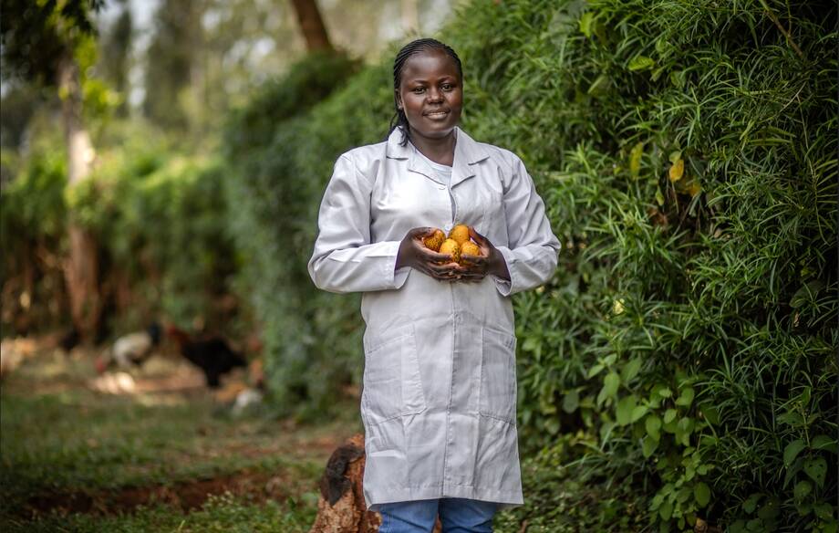 Decent Rural Employment | Food and Agriculture Organization of the ...