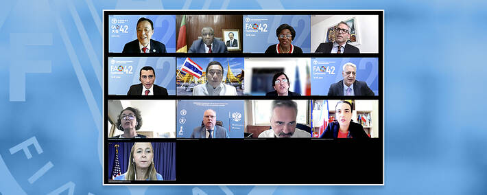 FAO Conference endorses new Strategic Framework to drive agri-food ...