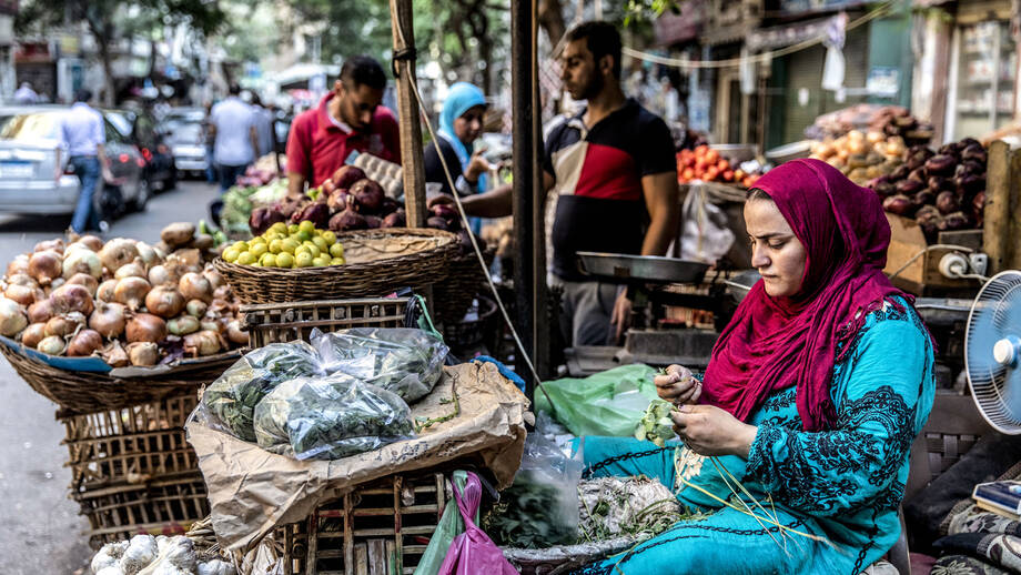 Partners | Evaluation at FAO | Food and Agriculture Organization of the ...