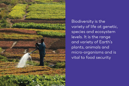 Biodiversity | Commission on Genetic Resources for Food and Agriculture ...