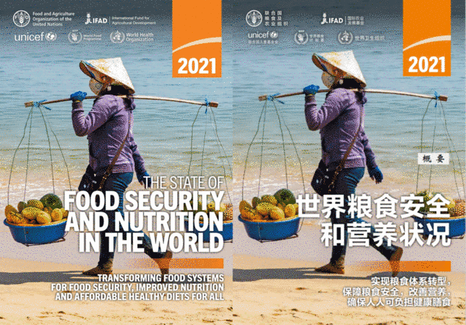 FAO in China | Food and Agriculture Organization of the United Nations
