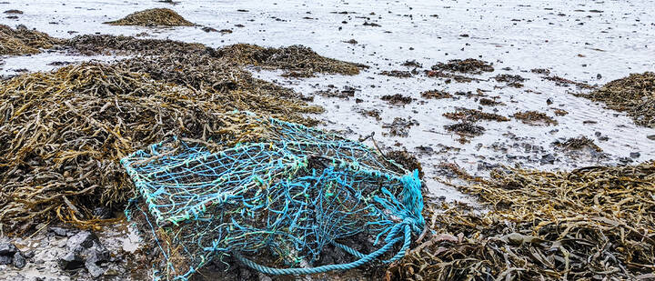 Enquête mondiale ALDFG de la FAO | Pratiques de pêche responsables pour ...