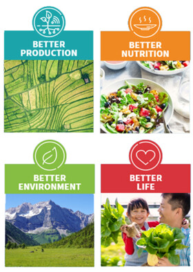 FAO Liaison Office in Brussels | Food and Agriculture Organization of ...