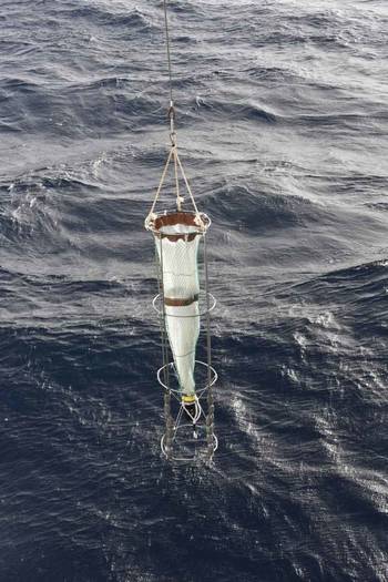 Everything you ever wanted to know about plankton and microplastics ...