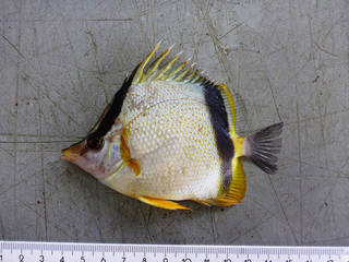 Signing off from the Nansen for now, but the voyage continues! | EAF ...