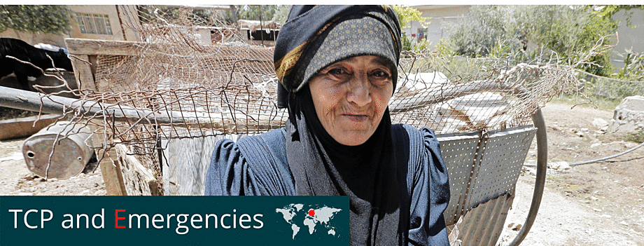 REU | Technical Cooperation Programme | Food and Agriculture ...