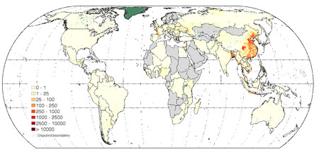 Ducks | Livestock Systems | Food and Agriculture Organization of the ...