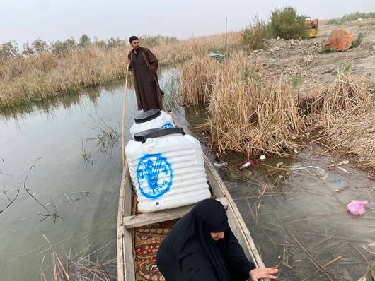 FAO Regional Office for Near East and North Africa | Food and ...