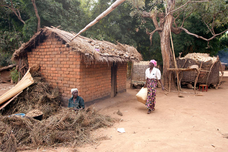 FAO: La historia de Delia Demison