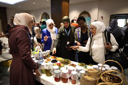 FAO in Syria | Food and Agriculture Organization of the United Nations