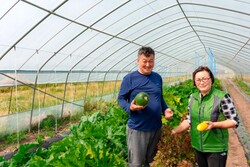 FAO Regional Office for Asia and the Pacific | Food and Agriculture ...