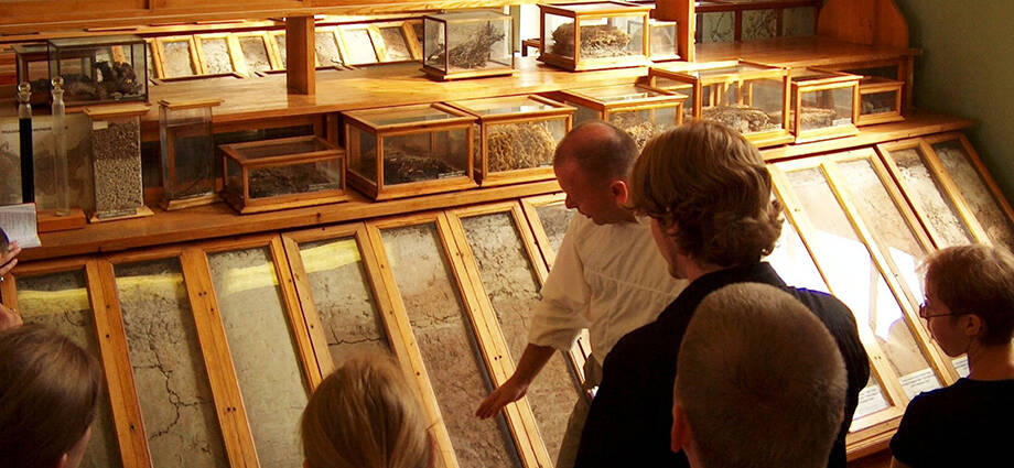 Soil museum | الشراكة العالمية من أجل التربة | منظمة الأغذية والزراعة ...