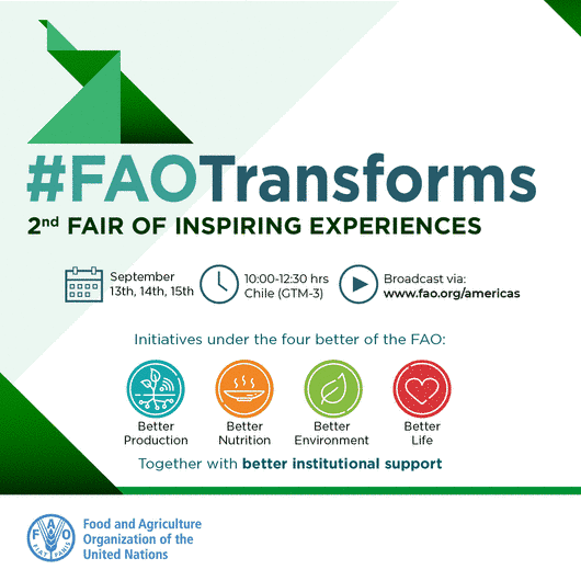 Program of Brazil-FAO International Cooperation | Food and Agriculture ...