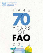 Our office | FAO in Egypt | Food and Agriculture Organization of the ...