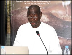 La FAO et ses partenaires présentent les résultats du projet KnoWat au ...