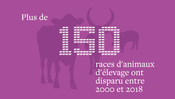 Biodiversité | Organisation des Nations Unies pour l'alimentation et l ...