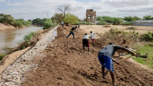 FAO in Somalia | Food and Agriculture Organization of the United Nations
