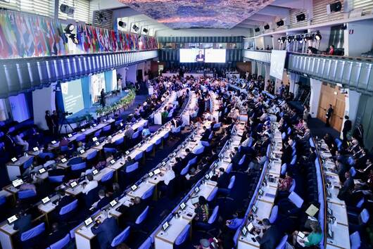 FAO Regional Office for Asia and the Pacific | Food and Agriculture ...